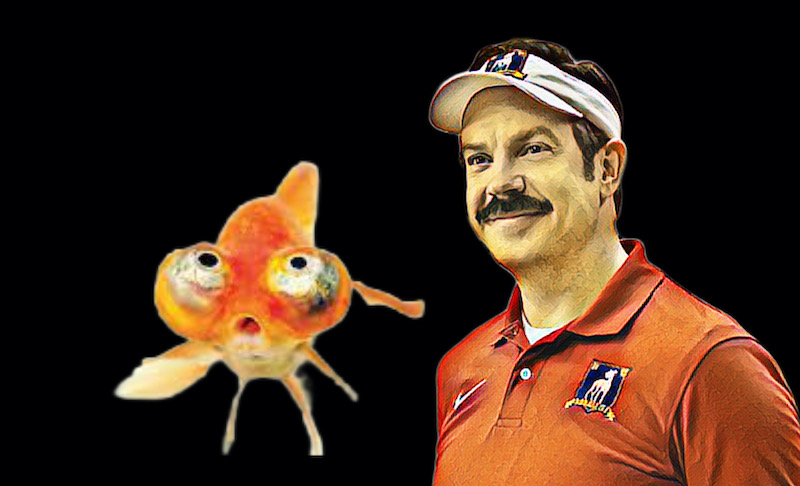 A memória de um peixinho dourado de Ted Lasso