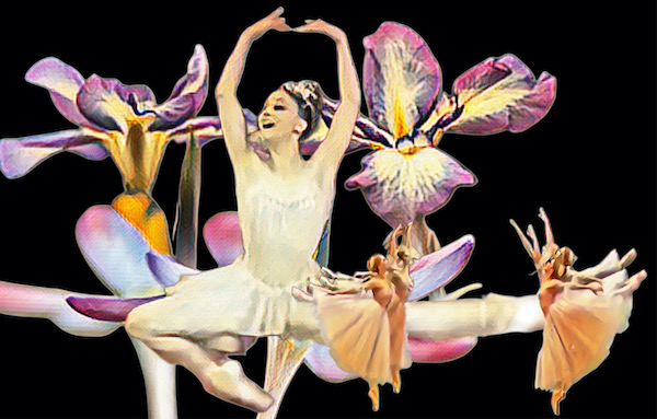 Fun Facts About Tchaikovsky’s Waltz of the Flowers