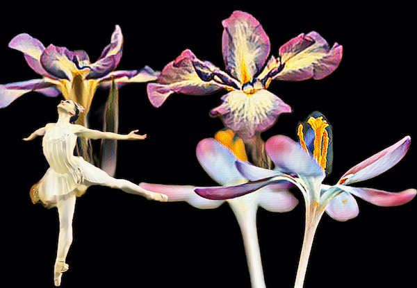 Fun Facts About Tchaikovsky’s Waltz of the Flowers