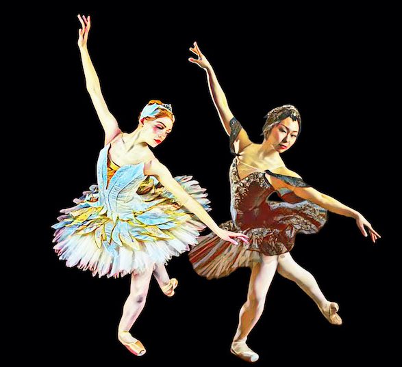 The Tragic Beauty of Swan Lake: Between the Mirror and the Soul